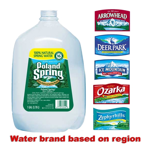 Poland Spring Natural Spring Water, 1 Gallon, 6/Carton - W.B. Mason