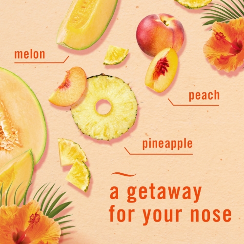 Febreze Air Freshener Spray, Hawaiian Aloha Scent, 8.8 oz, 2 Bottles ...