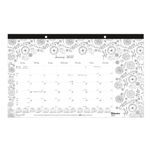 Rediform DoodlePlan Monthly Desk Pad Calendar, 12 Months, 17-3/4" x 10 ...